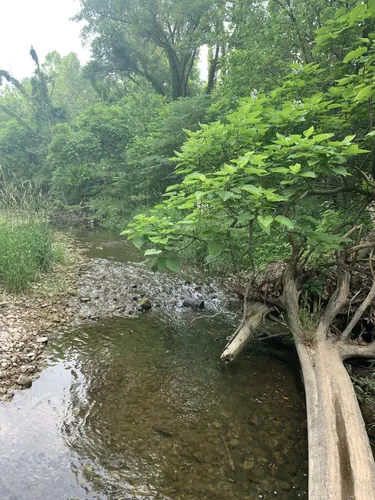 Best Hikes and Trails in Marott Park and Nature Preserve | AllTrails