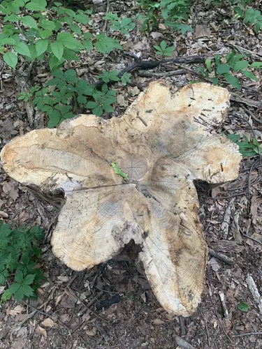 Best Hikes and Trails in Marott Park and Nature Preserve | AllTrails