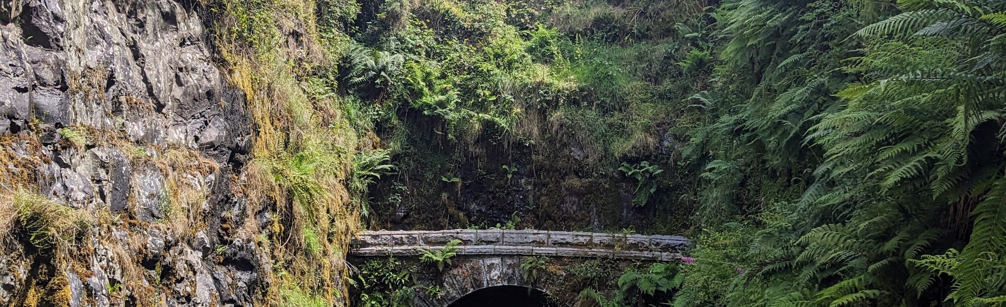 Barnagh Greenway Loop, County Limerick, Ireland - 9 Reviews, Map ...