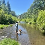 Bizz Johnson Trail, California - 186 Reviews, Map | AllTrails