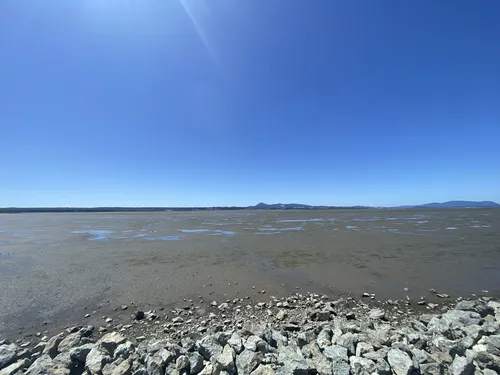 2023 Best Wheelchair Friendly Trails in Padilla Bay National Estuarine ...