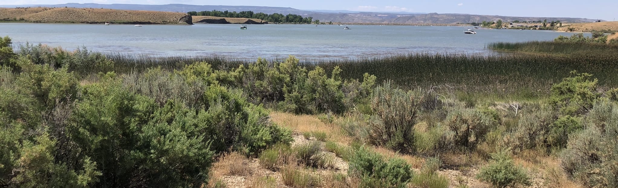 AllTrails | Highline Lake Trail: 60 Reviews, Map - Colorado