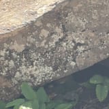 Painted Rocks Nature Trail, Washington - 715 Reviews, Map | AllTrails