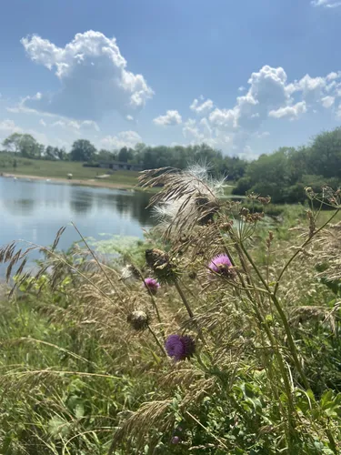 Best Hikes and Trails in Red Haw State Park | AllTrails