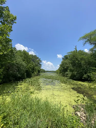 Best Hikes and Trails in Red Haw State Park | AllTrails