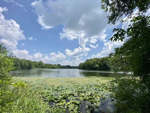 Best Hikes and Trails in Red Haw State Park | AllTrails