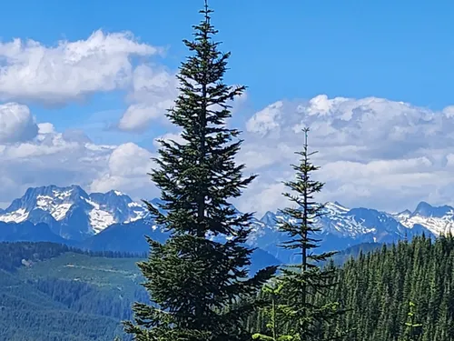 Best Hikes and Trails in Hemlock Valley | AllTrails