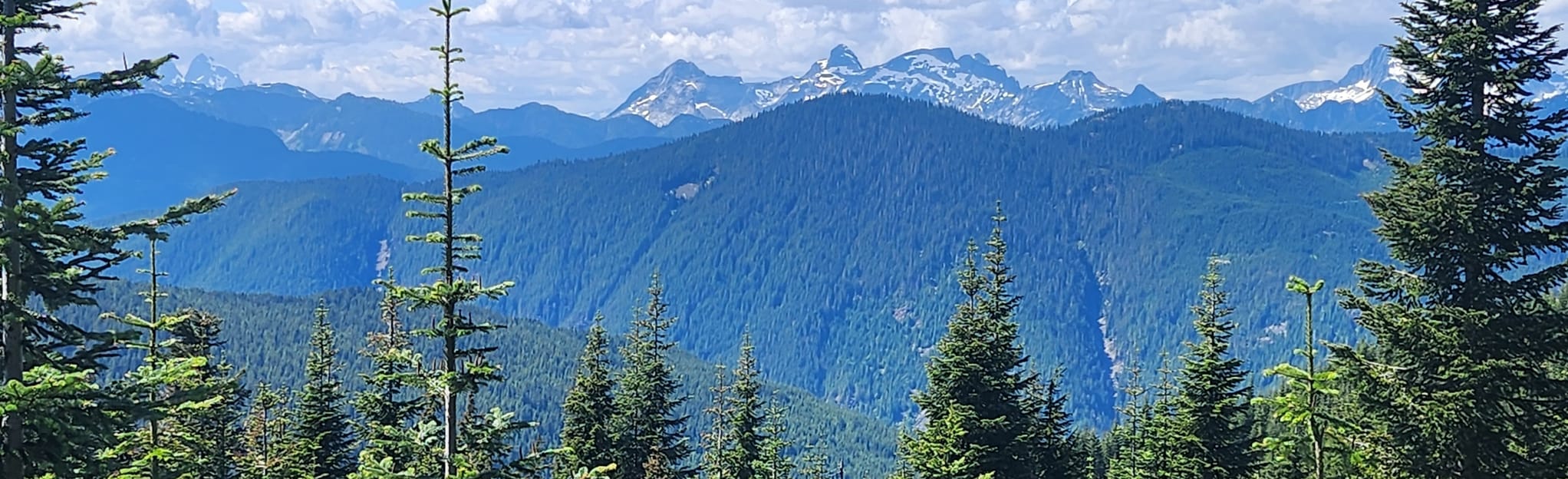Mount Keenan Trail, British Columbia, Canada - 8 Reviews, Map | AllTrails