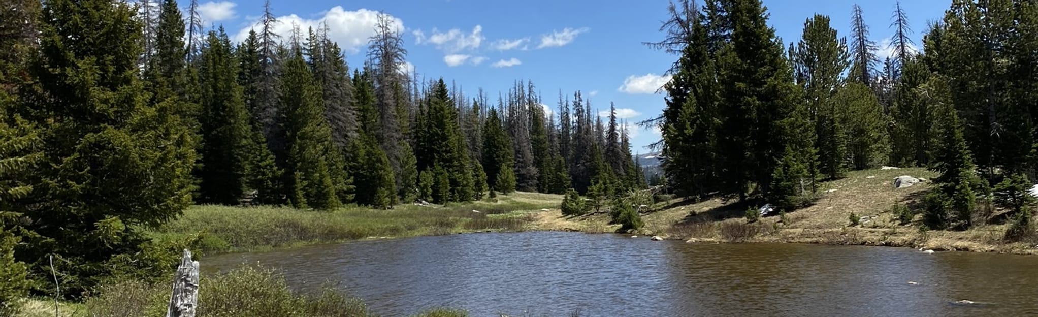 Moon Lake Trail: 6 Reviews, Map - Wyoming | AllTrails