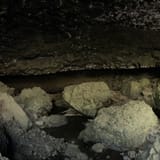 Boulder Cave Trail, Washington - 192 Reviews, Map | AllTrails