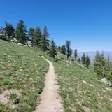 Bogus Basin Loop Trail, Idaho - 252 Reviews, Map | AllTrails