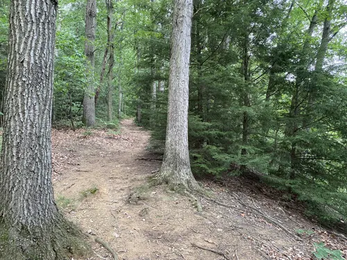 Best Hikes and Trails in Blue Marsh Lake National Recreation Area ...