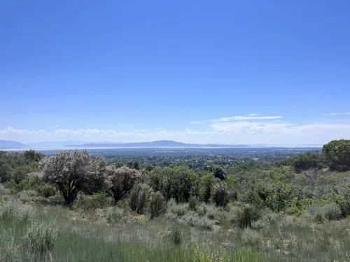 10 Best Trails and Hikes in Layton | AllTrails