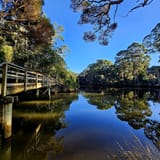 Inglis River Bridge to Bridge Walk, Tasmania, Australia - 40 Reviews ...