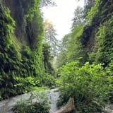 Miner's Ridge Trail, Clintonia Trail, and Gold Bluffs Beach Loop ...