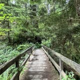 Miner's Ridge Trail, Clintonia Trail, and Gold Bluffs Beach Loop ...