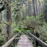 Miner's Ridge Trail, Clintonia Trail, and Gold Bluffs Beach Loop ...
