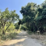 Lower Arroyo Seco Trail, California - 1,484 Reviews, Map | AllTrails