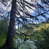 Spider Lake Trail, Washington - 232 Reviews, Map | AllTrails