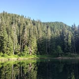 Spider Lake Trail, Washington - 232 Reviews, Map | AllTrails