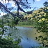 Spider Lake Trail, Washington - 232 Reviews, Map | AllTrails