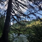 Spider Lake Trail, Washington - 232 Reviews, Map | AllTrails