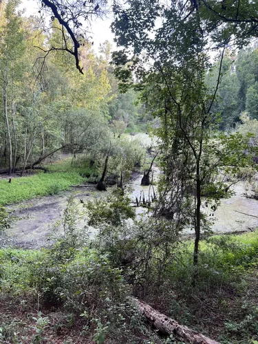 Best Hikes and Trails in Croom Wildlife Management Area | AllTrails