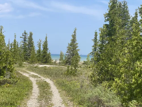 Best Hikes and Trails in Thompson's Harbor State Park | AllTrails