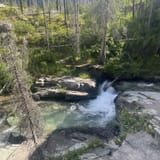 Sun Point Nature Trail, Montana - 389 Reviews, Map | AllTrails