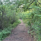 Jones Valley Trail - Carpenter's Trail Loop, Saint Paul, Antigua - 165 ...