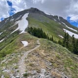 Ballard Mountain Trail, Colorado - 330 Reviews, Map | AllTrails