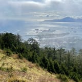 Mount Verstovia Trail, Alaska - 337 Reviews, Map | AllTrails