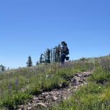Chilco Mountain Trail, Idaho - 637 Reviews, Map | AllTrails