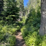 Chilco Mountain Trail, Idaho - 638 Reviews, Map | AllTrails