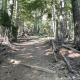 Chilco Mountain Trail, Idaho - 638 Reviews, Map | AllTrails