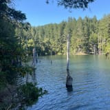 Kent Lake via Candalero Canyon Loop, California - 442 Reviews, Map ...