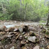 Franconia Brook Trail, New Hampshire - 323 Reviews, Map | AllTrails