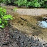 Franconia Brook Trail, New Hampshire - 323 Reviews, Map | AllTrails