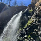 Fall Creek Falls Trail, Oregon - 349 Reviews, Map | AllTrails