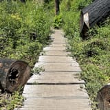 Fall Creek Falls Trail, Oregon - 349 Reviews, Map | AllTrails