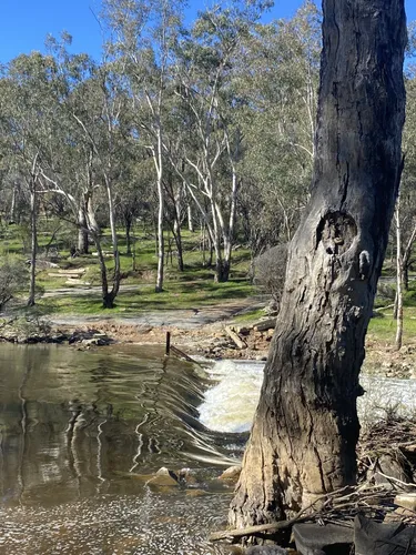 Best Hikes and Trails in Avon Valley National Park | AllTrails