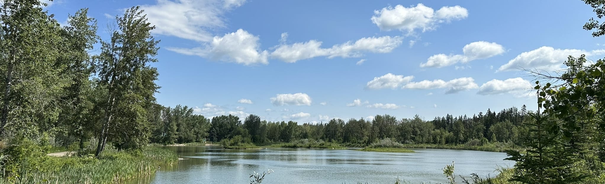 MacKenzie Ponds Trails: 52 fotos - Alberta, Canadá | AllTrails