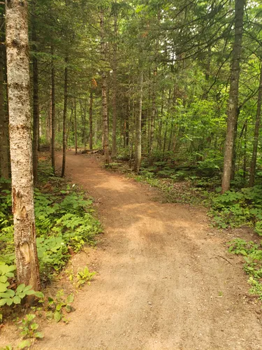 2023 Best Partially Paved Trails in Pont-Rouge | AllTrails