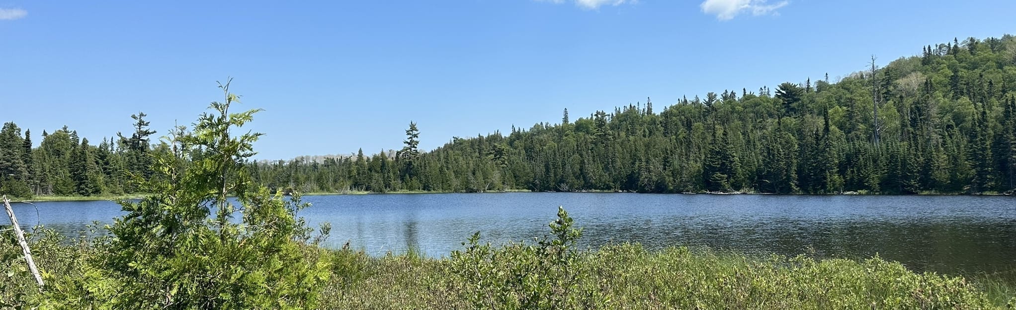 AllTrails | Thunder Bay Bogs Nature Trail: 3 Reviews, Map - Ontario, Canada