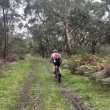 Devilbend Reservoir Loop, Victoria, Australia - 340 Reviews, Map ...
