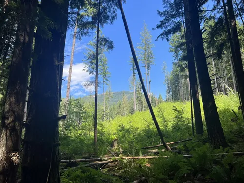 Best Hikes and Trails in Cat Lake Recreation Site | AllTrails