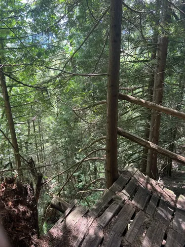 Best Hikes and Trails in Cat Lake Recreation Site | AllTrails