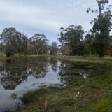 Trentham Long Loop, Victoria, Australia - 40 Reviews, Map | AllTrails