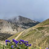 Mount Antero Trail, Colorado - 488 Reviews, Map | AllTrails