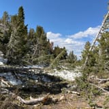 Ruby Lake Trail, California - 398 Reviews, Map | AllTrails